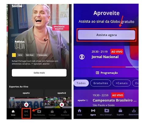 Grêmio X Flamengo Ao Vivo Onde Assistir Ao Jogo Do Brasileirão Online