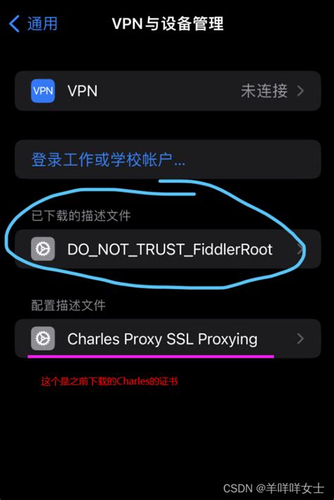 Fiddler如何抓取手机请求数据包（iosandroid保姆级教程）fiddler手机抓包 Csdn博客