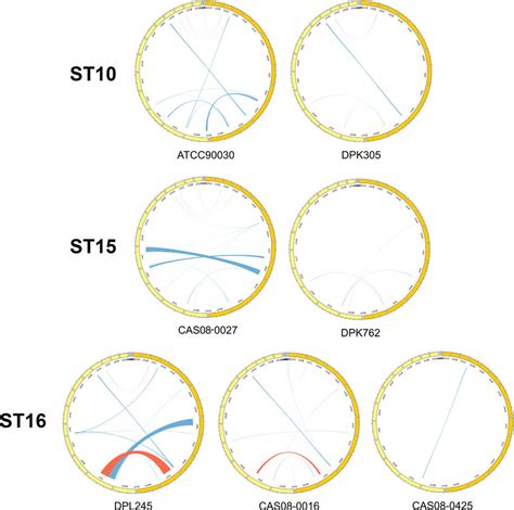 Circos Plots Representing Inversions Red And Translocations Blue