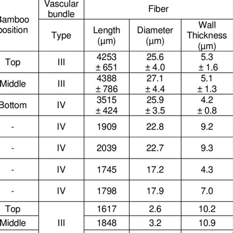 General Structures On Cross Section Of Belangke Bamboo Vascular Bundle Download Scientific