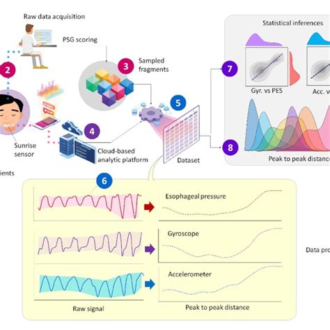 Overview Of The Experimental And Analysis Protocol Download