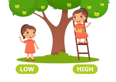 Premium Vector Vector Illustration Antonyms And Opposites