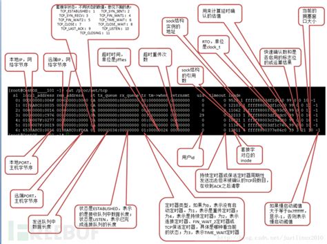 linux进程网络流量统计 文件