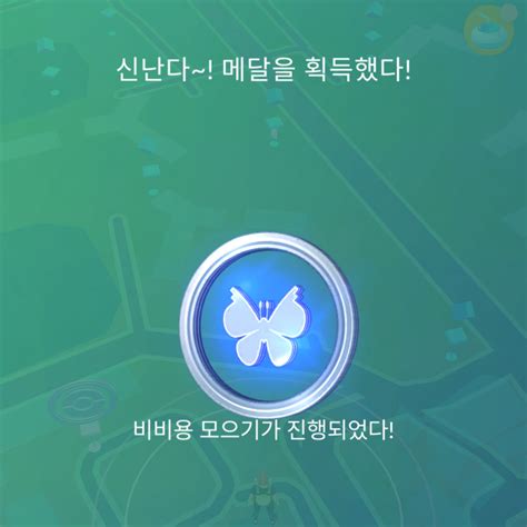 비비용 완성 포켓몬 에펨코리아