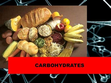 Where Are Carbs Digested Bastamotion