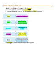 Module 6 Lesson 1 Knowledge Check Docx Module 6 Lesson 1 Knowledge
