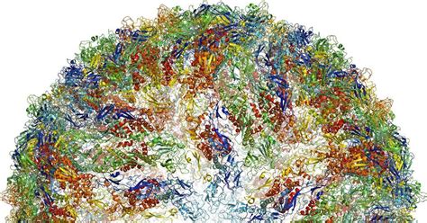 Explainer What Is Cryo Electron Microscopy News Chemistry World