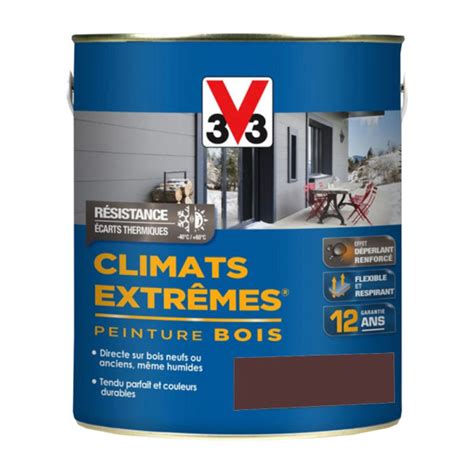 Peinture Bois V33 Climats Extrêmes Brillant Blanc Pas Cher
