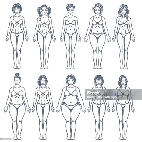 Ilustración De Tipos De Cuerpo Femenino Y Más Vectores Libres De