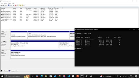 Windows 10 Diskpart Missing Or Skipping Disk 1 Super User