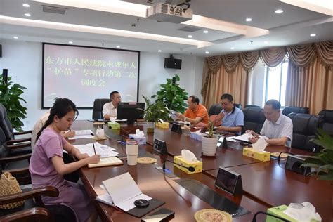 护苗行动东方法院召开未成年人护苗专项行动第二次调度会 澎湃号政务 澎湃新闻 The Paper