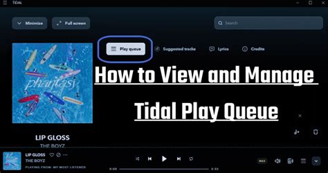 Easy Guide To Use Tidal Connect