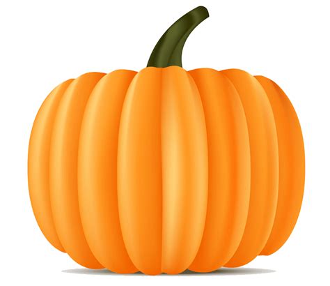 リアルな白いカボチャのイラスト