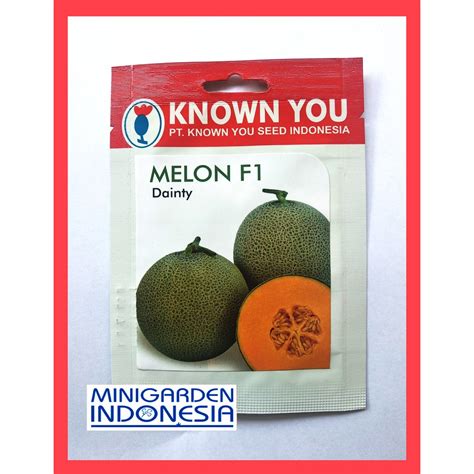 Jual Melon Dainty 6 Biji Pack Kecil Benih Melon Rock Melon Orange F1