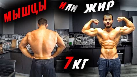 Кг жира и кг мышц фото