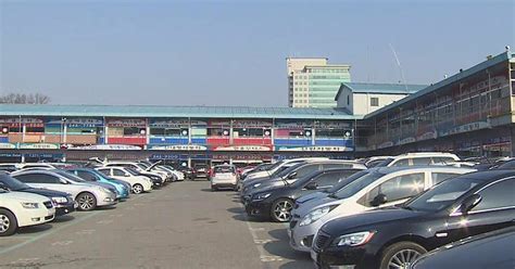 중고차 대출 피해 속출표준약관 제정