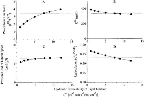 Recirculation Model Of Solute Coupled Fluid Transport In Leaky Download Scientific Diagram