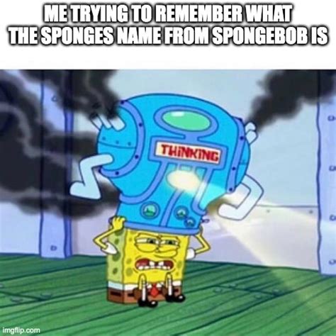 What Is His Name Imgflip