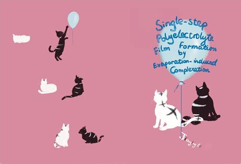 Phd Defence Jiaying Li Single Step Polyelectrolyte Film Formation By