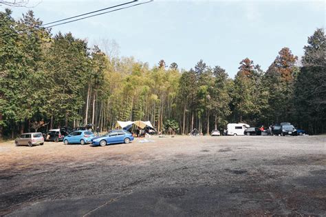 埼玉県の嵐山にある「月川荘キャンプ場」は人懐っこい猫がいっぱいいるので最高 Mozlog