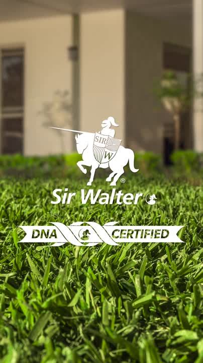 Video Anco Instant Turf On Linkedin Reel Ancoturf Anco