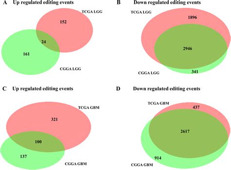 Validation Of Differential Rna Editing Events In Independent Dataset