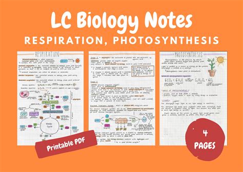 Respiration And Photosynthesis Notes Leaving Cert Biology Etsy