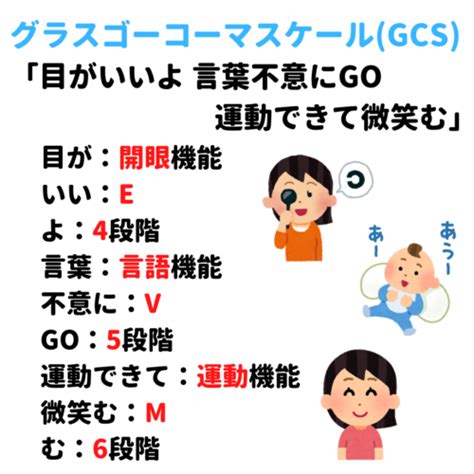 グラスゴーコーマスケールgcs 覚え方 語呂合わせ｜＊看護国試ゴロ＊看護師国家試験対策 絶対合格するぞ！