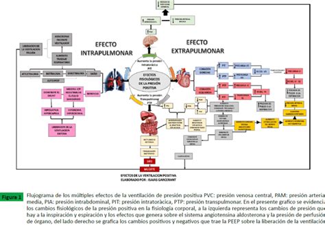 ️】cómo Programar Un Sensor De Ultrasonido En Arduino Tech10