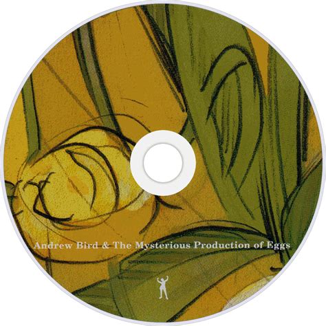 Andrew Bird The Mysterious Production Of Eggs
