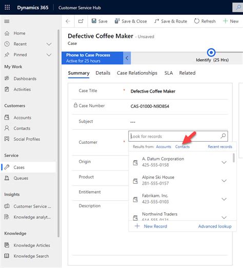 Dynamics 365 Default Customer Field Bluesky Digital Transformation