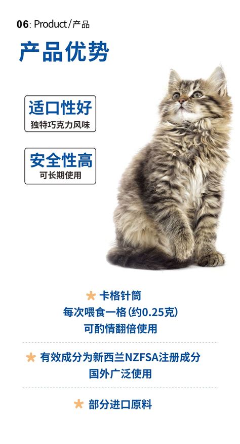康恩尼巧克力膏宠物感冒狗狗猫咪口炎猫鼻支杯状呼吸道肠感染辉瑞 阿里巴巴
