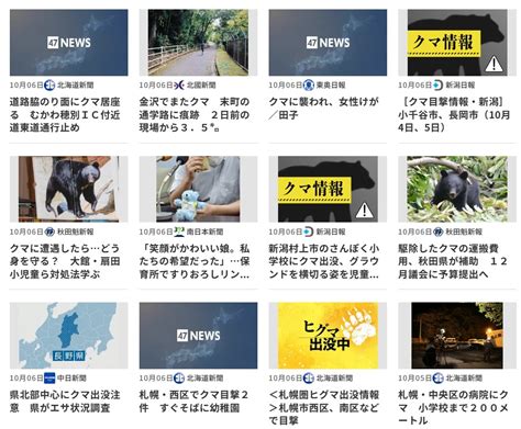 クマヒグマクマ被害クマ目撃クマ出没鹿石八千代クマイシス ダイはつ Vファイブ