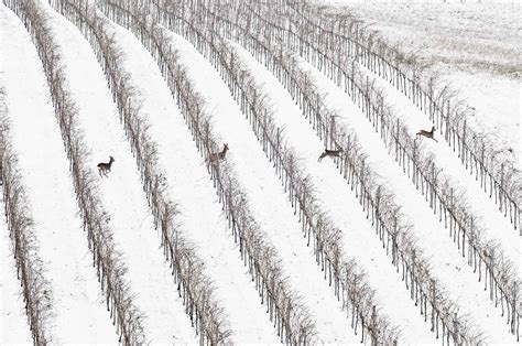 C8 Man And Nature Runner Up Stanislao Basileo Nature Photographer Of The Year