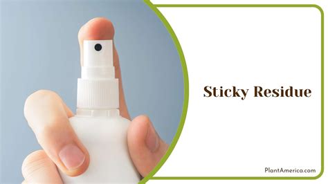 Aphids On Lenten Rose — How To Save Your Flowers Plant America