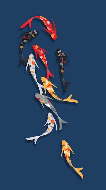 Vector De Pez Koi Vector Premium