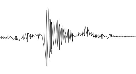 Premium Vector Seismogram Of Seismic Activity Or Black Lie Detector
