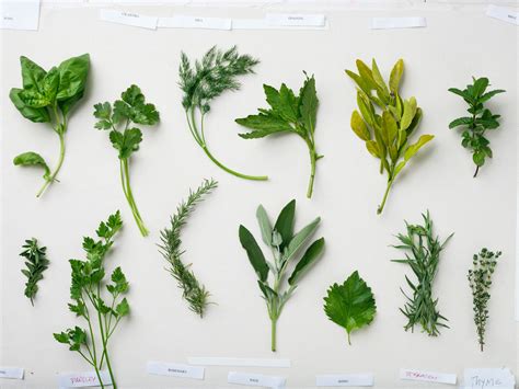 Delicious Dishes With Fresh Thyme Sunset Magazine