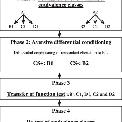 Schematic Depiction Of The Phases Of Experiment 2 Download Scientific Diagram