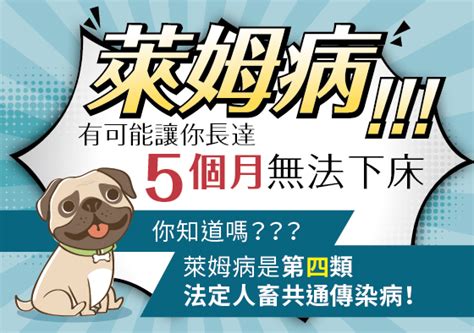 特別企劃 Zoetis 寵物健康網