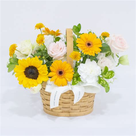 거베라 블룸 배민 장보기∙쇼핑