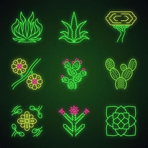 Descargar Conjunto De Iconos De Luz De Neón De Plantas Del Desierto