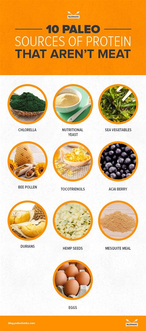 The Top 10 Best Non Meat Protein Sources Paleohacks Blog