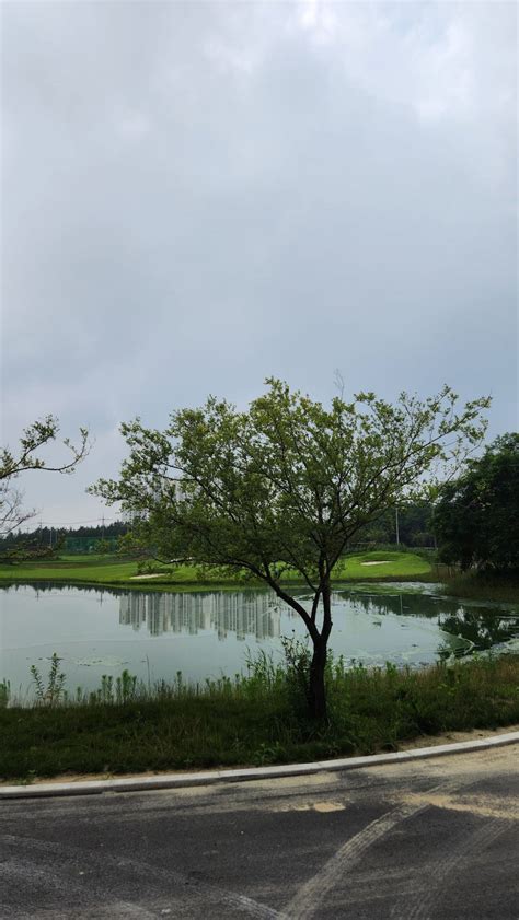 군산 파3 골프장 파인파크 18홀 골프장 예상 코스 및 후기 네이버 블로그 군산 파3 골프장 파인파크 18홀 골프장 예상 코스 및 후기 네이버 블로그