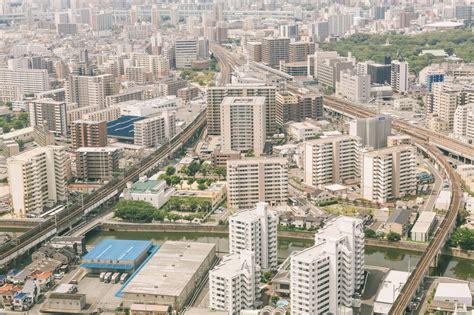 天然芝と人工芝のちがいとは？ 土肥家具の役立つリフォーム情報・豆知識