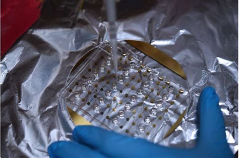 Detecting Lung Cancer Early With Sugar Sensing Nanotech Nanotech