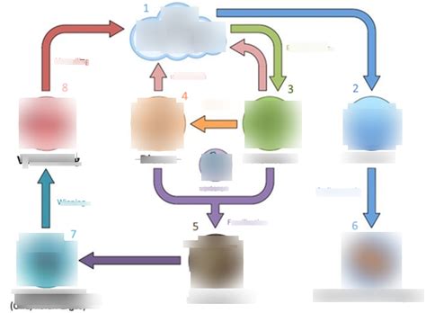 Ak Koolstofkringloop Diagram Quizlet