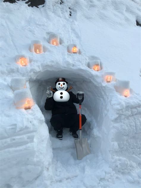 小樽潮陵高校科学部（生物） On Twitter 小樽潮陵高校では今日雪あかりが点灯しました。全日制のすけっと同好会と定時制の方々が作り