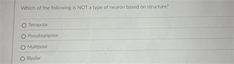 Solved Which Of The Following Is Not A Type Of Neuron Based