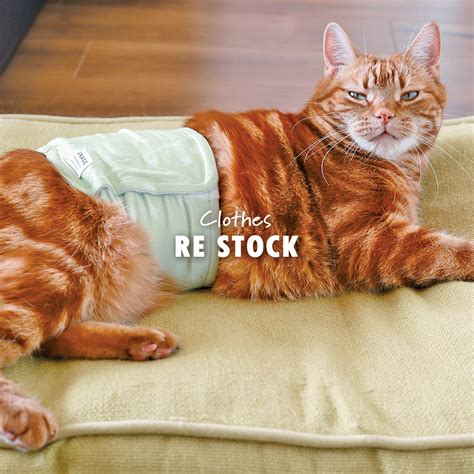 猫グッズのicat Icat Catgoods • Instagram Photos And Videos